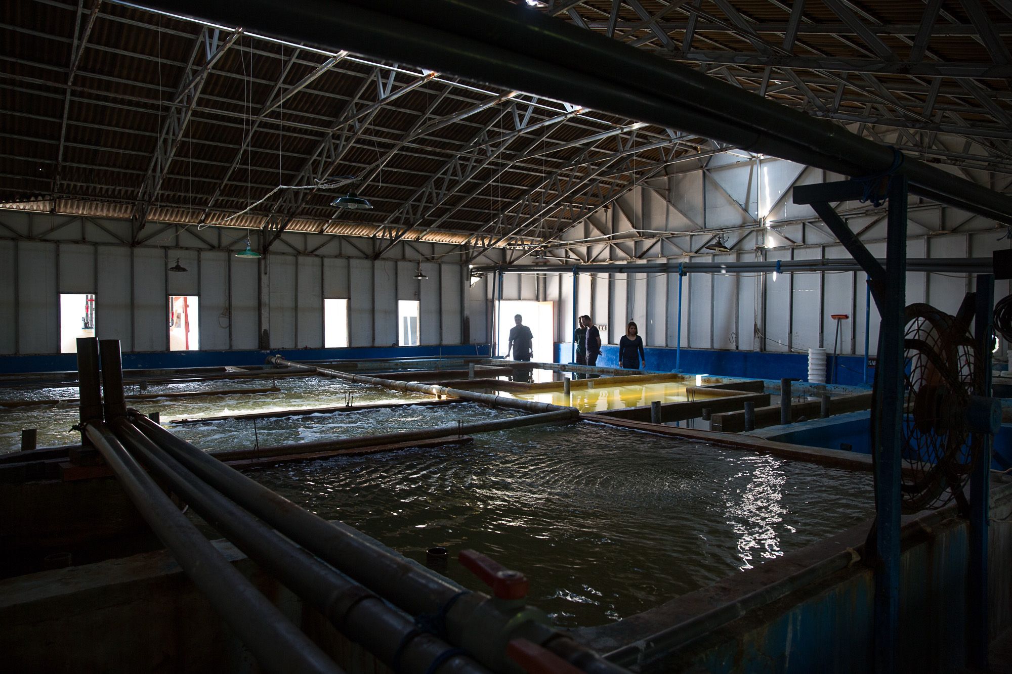 PT Suri Tani Pemuka, Indonesia (1) - INVE Aquaculture